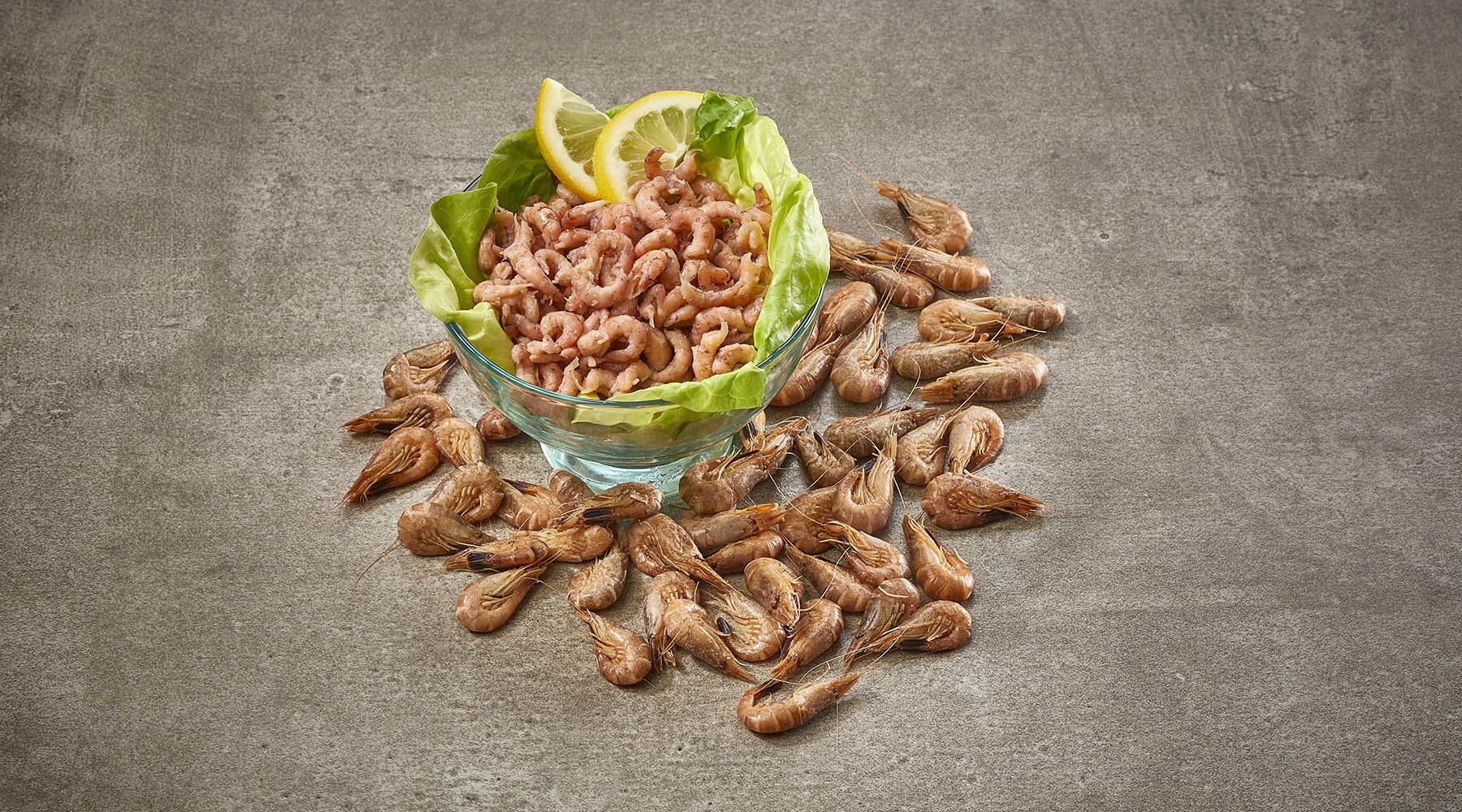 Home Visgilde Bieshof